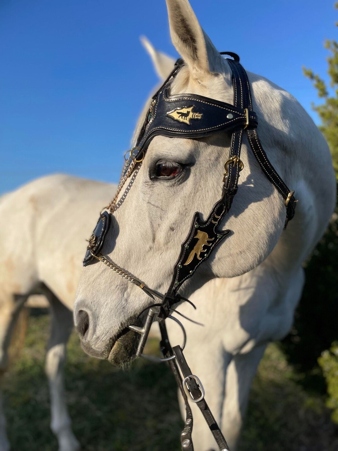 Fox Archer Bridle Black - Etsy