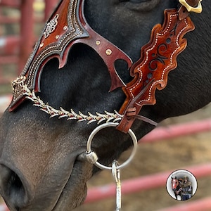 Aeglos Shines Bridle/chamfron - Etsy