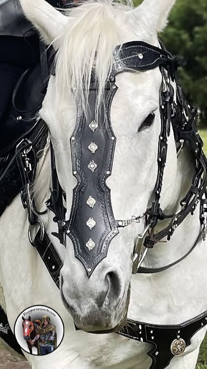 Roäc's Prophecy Bridle/chamfron - Etsy