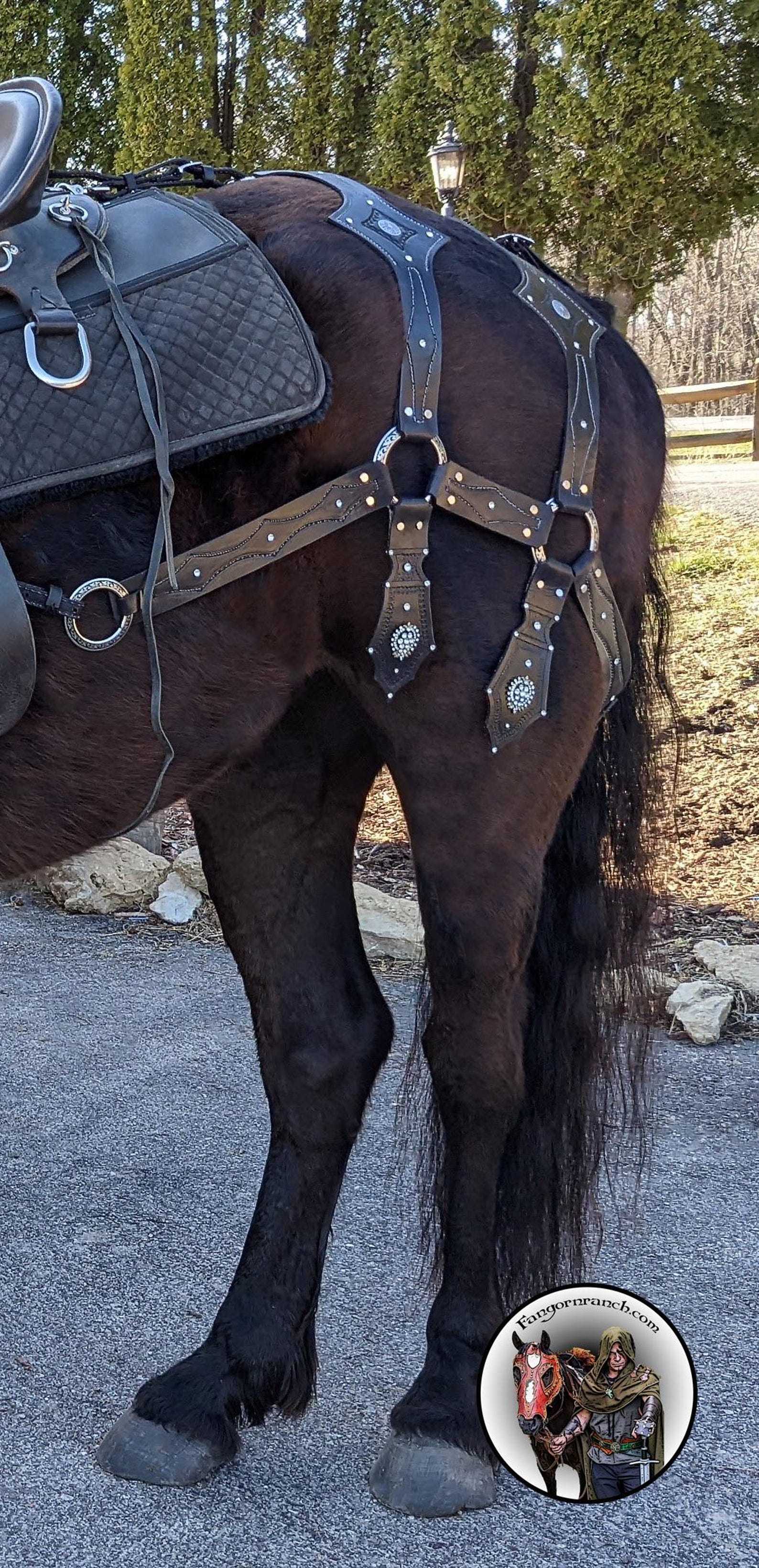 Roäc's Prophecy Crupper/britchen - Etsy