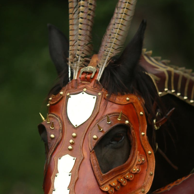 Medieval Horse Tack - Etsy