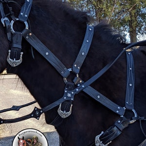 Roäc's Prophecy Crinet {neck Piece} - Etsy