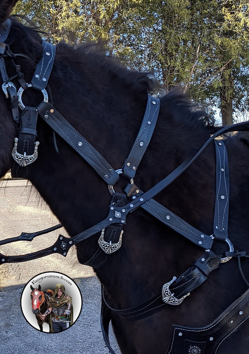 Roäc's Prophecy Crinet neck Piece - Etsy