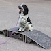 Bike Ramp GO Table Top Bundle - Etsy