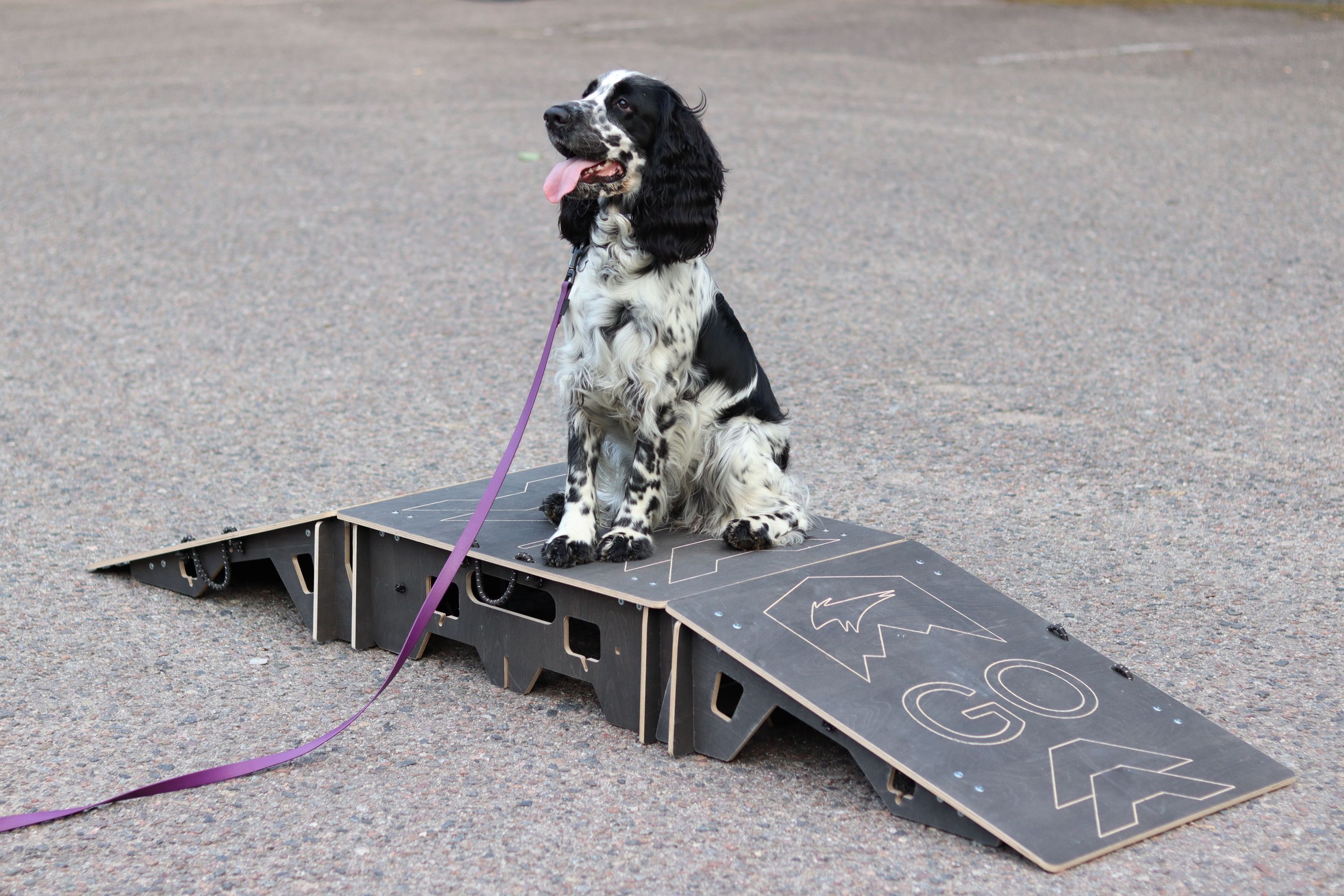 Bike Ramp GO Table Top Bundle - Etsy