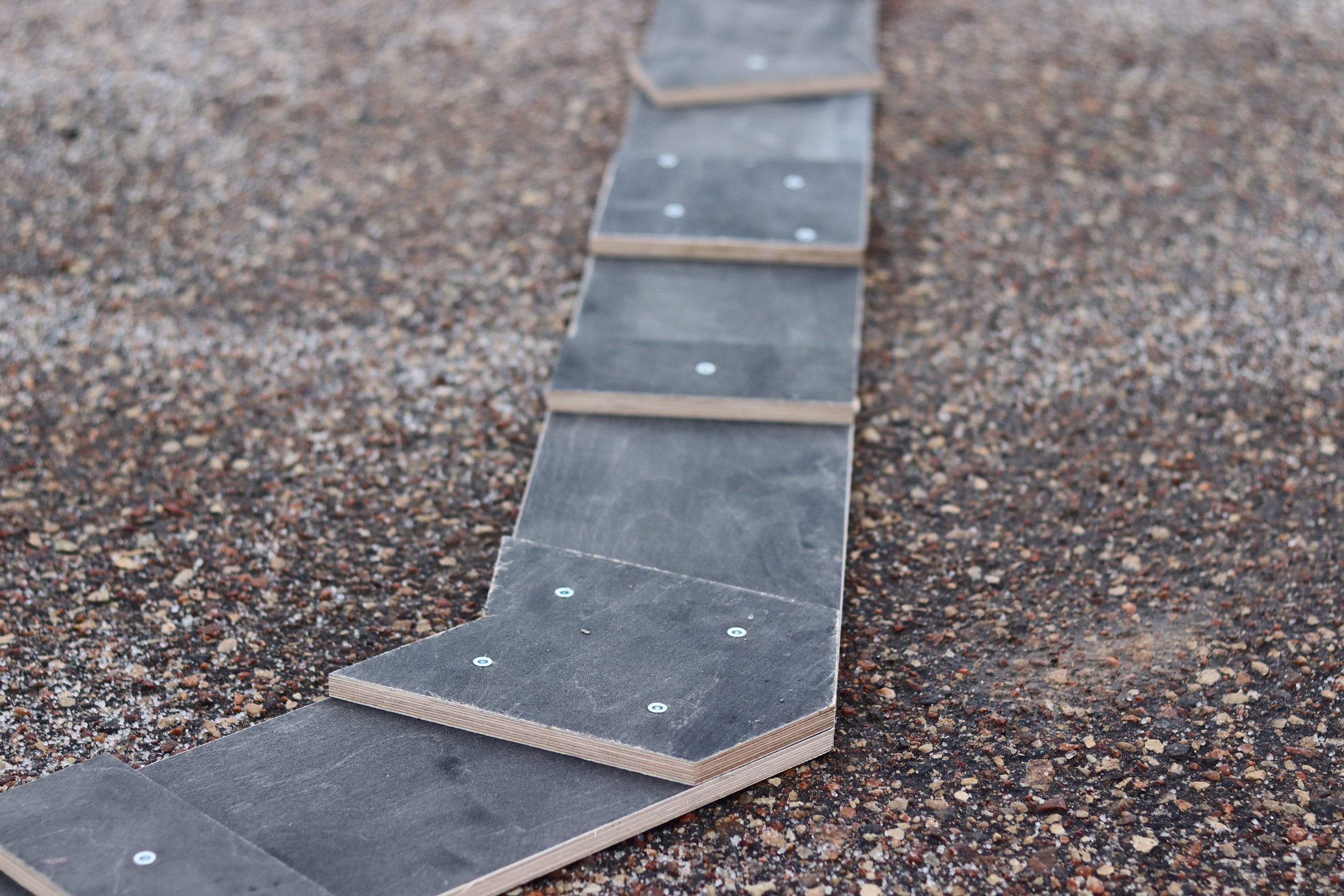 Snake Bicycle Skinny Balance Track - Etsy