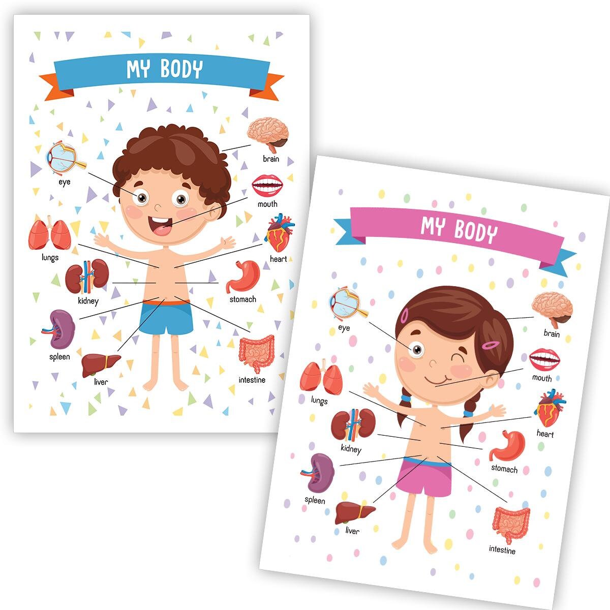 The Human Body Boy Girl Children Clean Home School Learning | Etsy