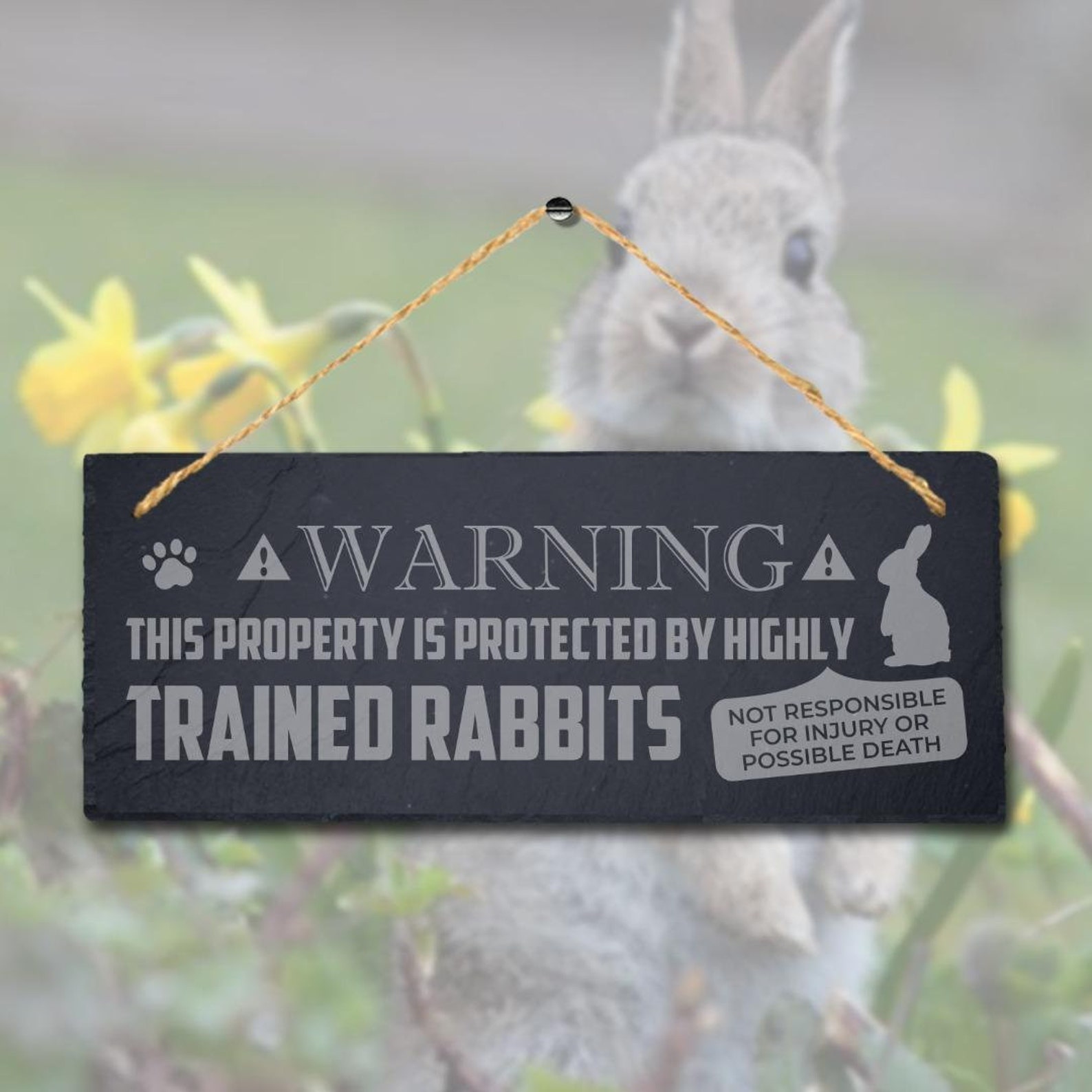 Warning The Property Protected By Trained Rabbit Hanging Slate | Etsy