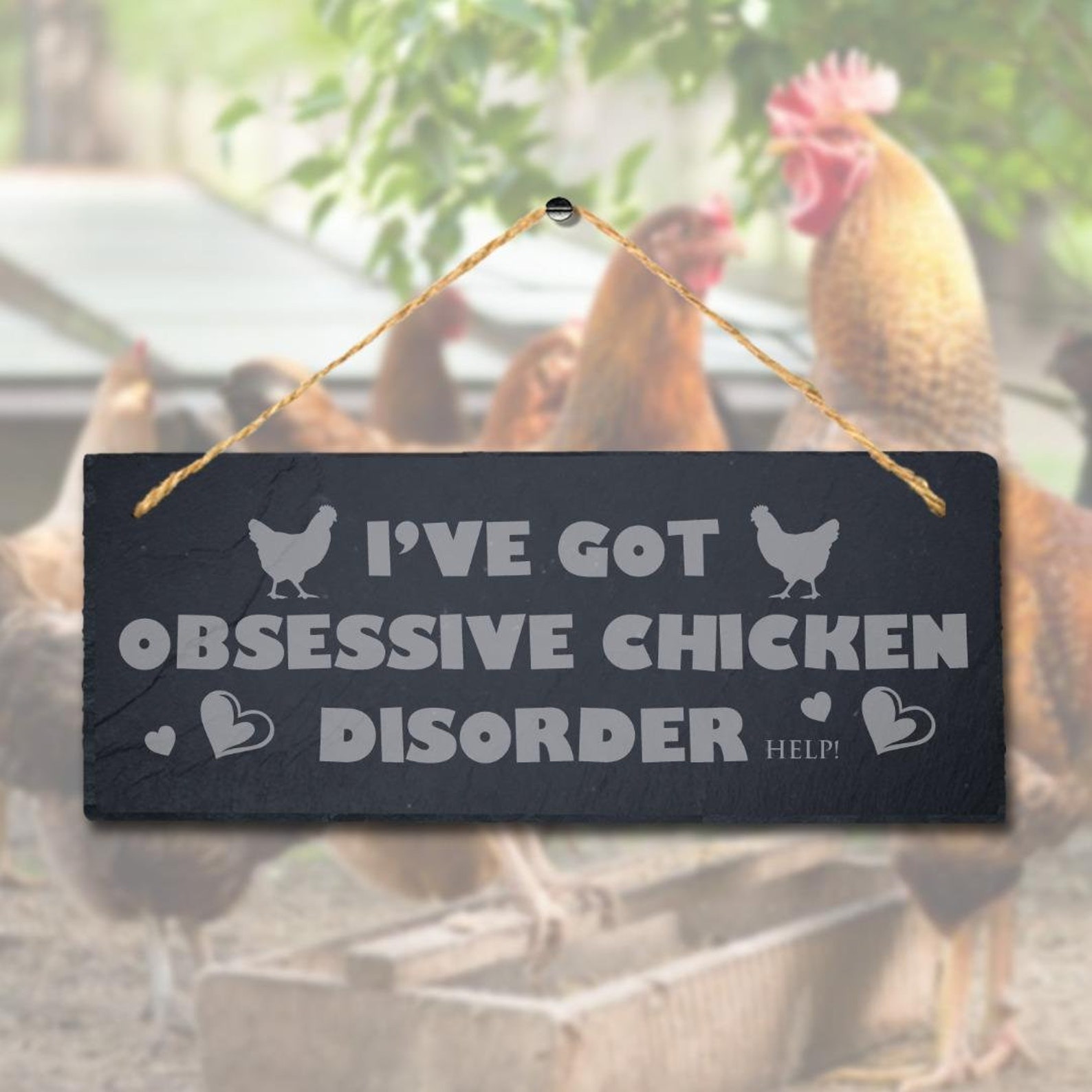 I Have Got Obsessive Chicken Disorder Hanging Slate Chick Hen | Etsy