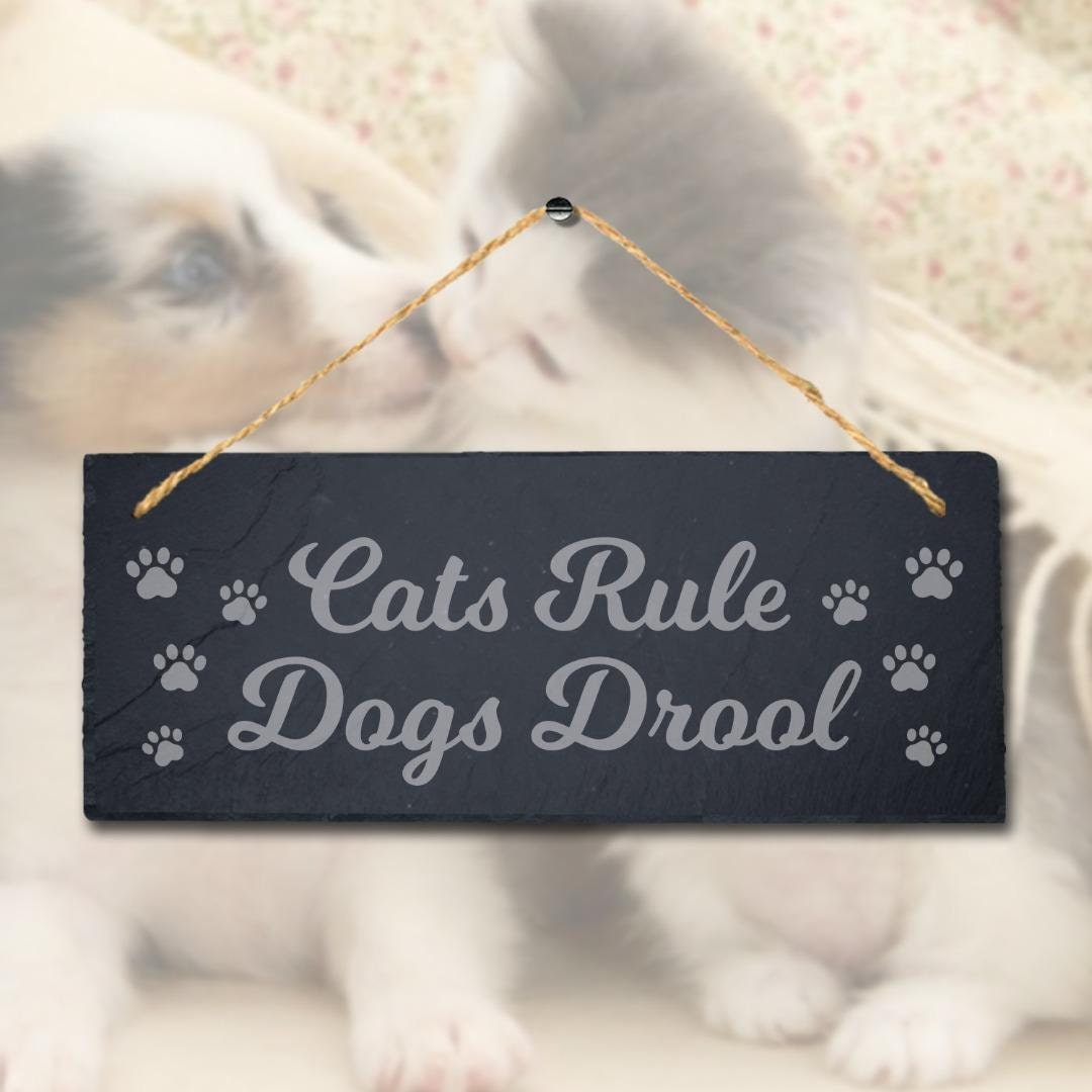 Cats Rule Dogs Drool Laser Engraved Hanging Slate Pet Ideal Gift Plaque ...