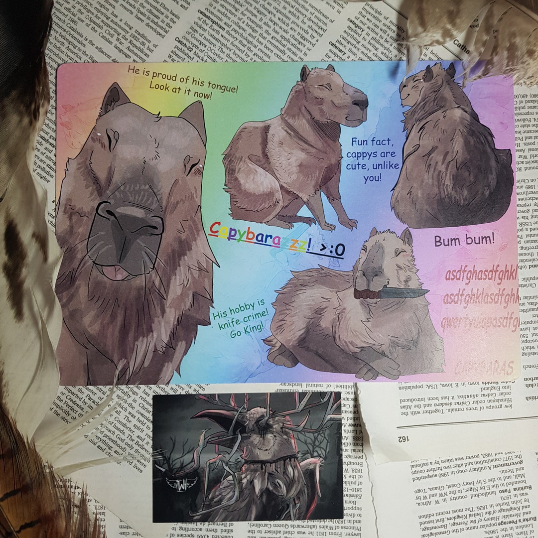 Capybara A5 Gag Funny Print, Kidcore Illustration, LGBT Wall Decor ...