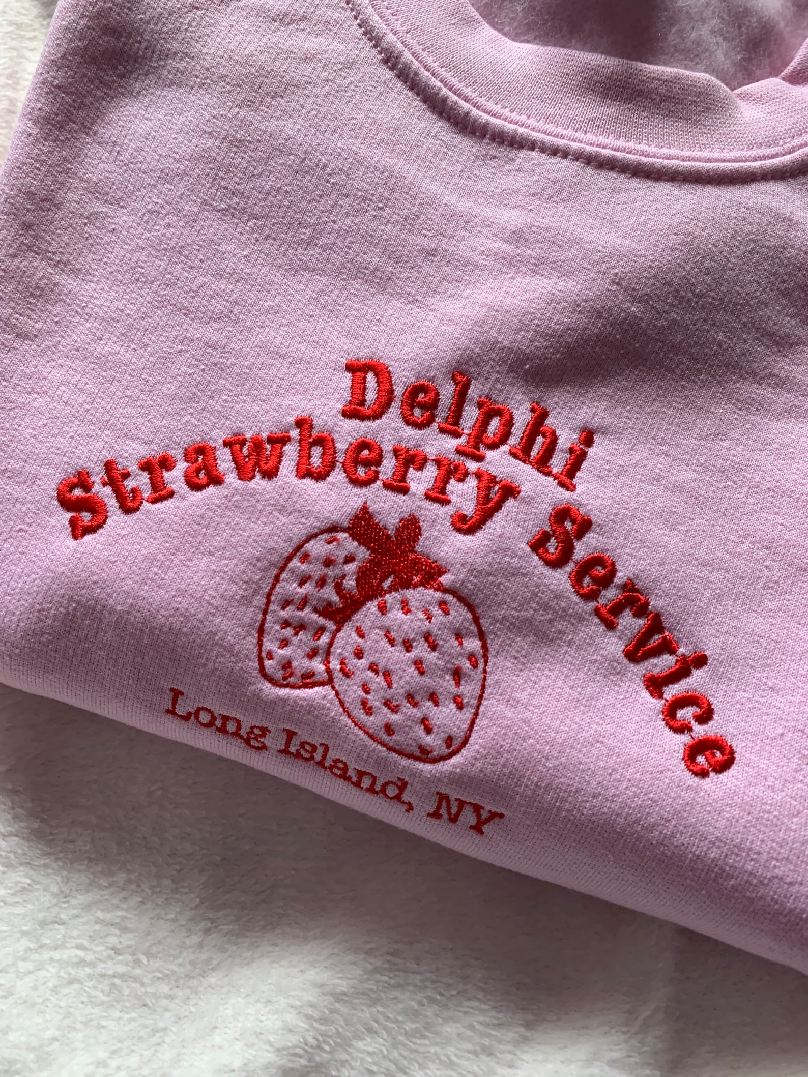 Delphi Strawberry Service Unisex Embroidered Sweatshirt - Etsy