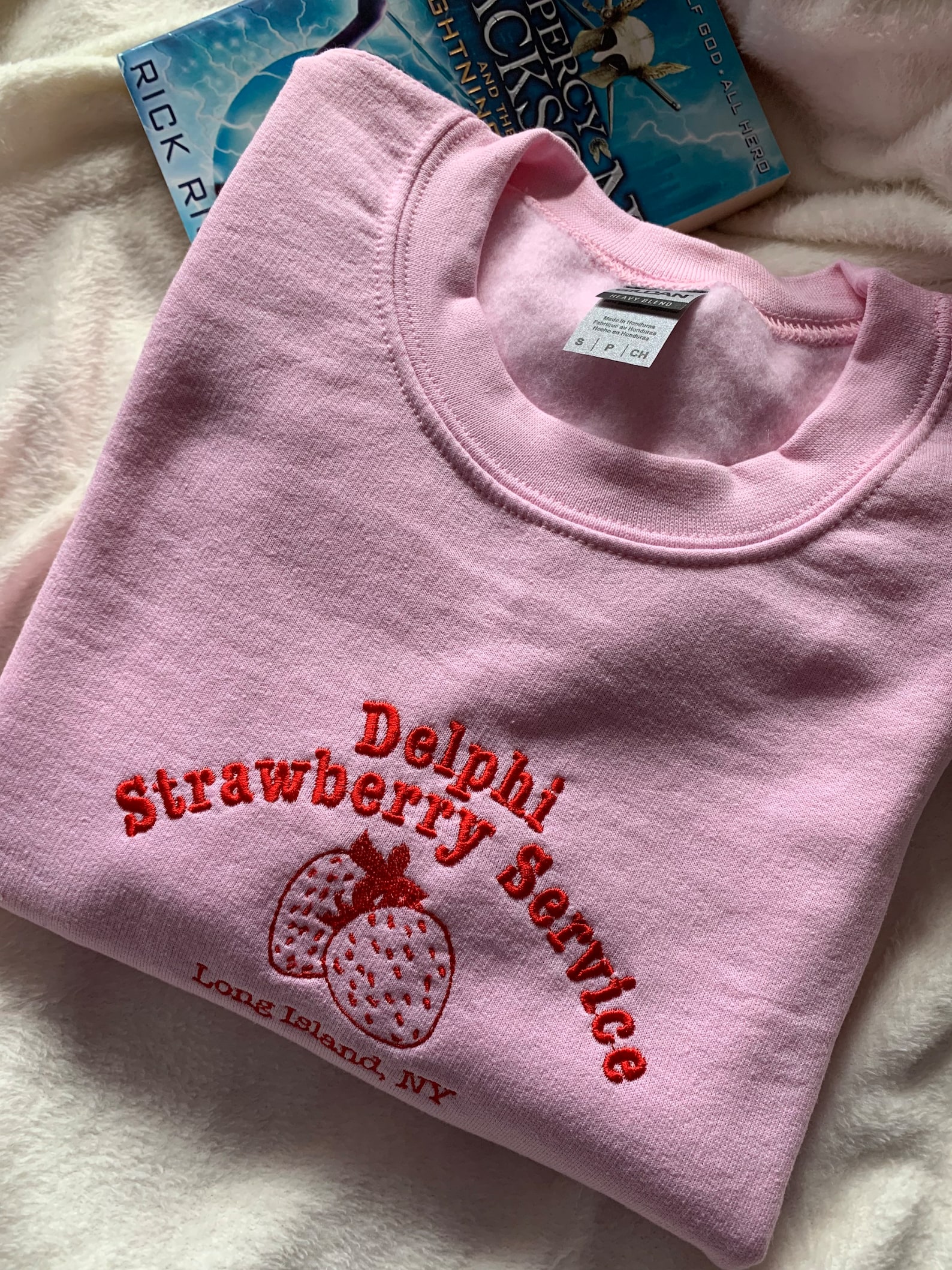 Delphi Strawberry Service Unisex Embroidered Sweatshirt - Etsy UK