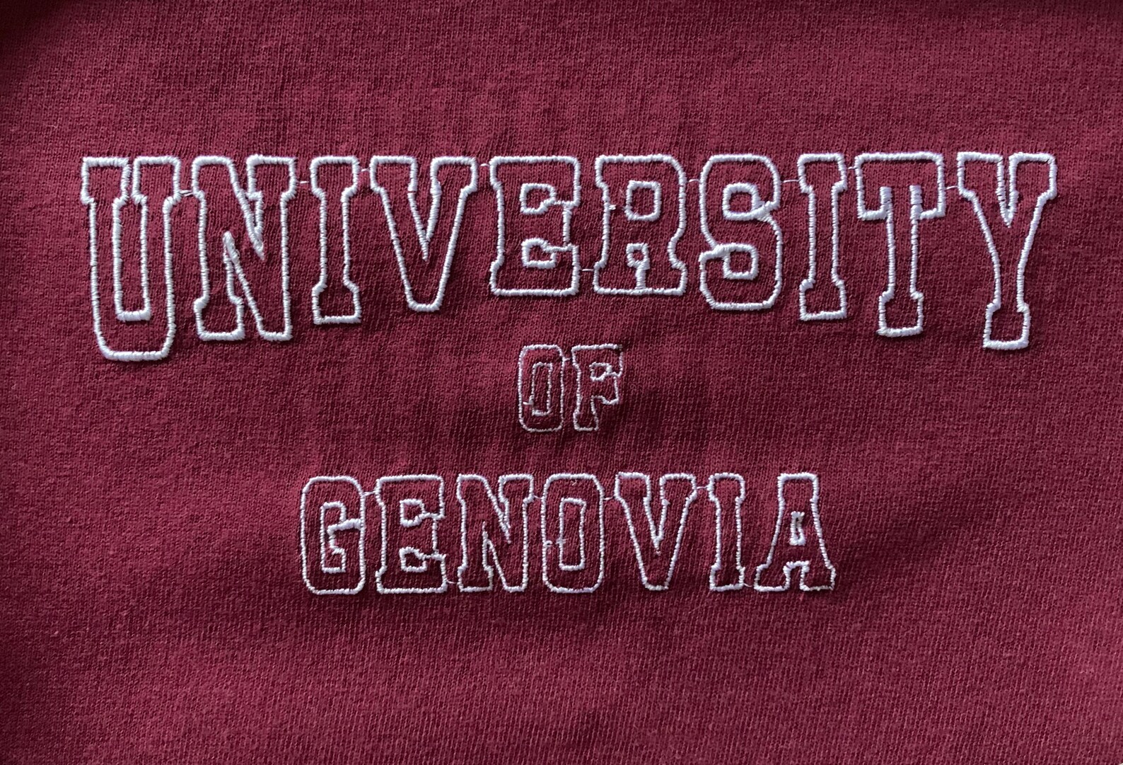 University of Genovia Unisex Embroidered Sweatshirt - Etsy
