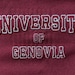 University of Genovia Unisex Embroidered Sweatshirt - Etsy