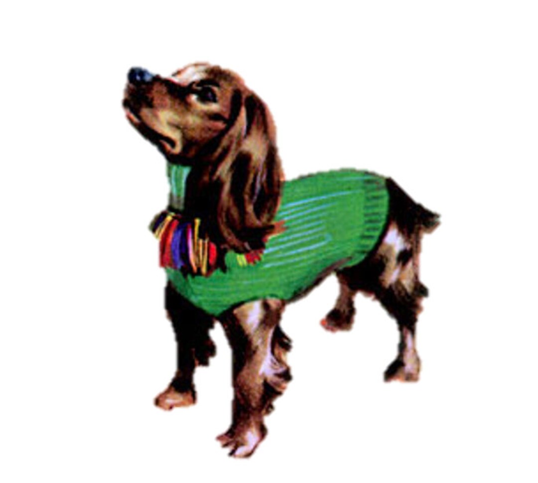 Burlesque Knitted Small Dog Sweater Vintage Pattern PDF - Etsy