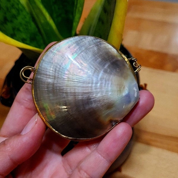 Seashell Purse - Etsy