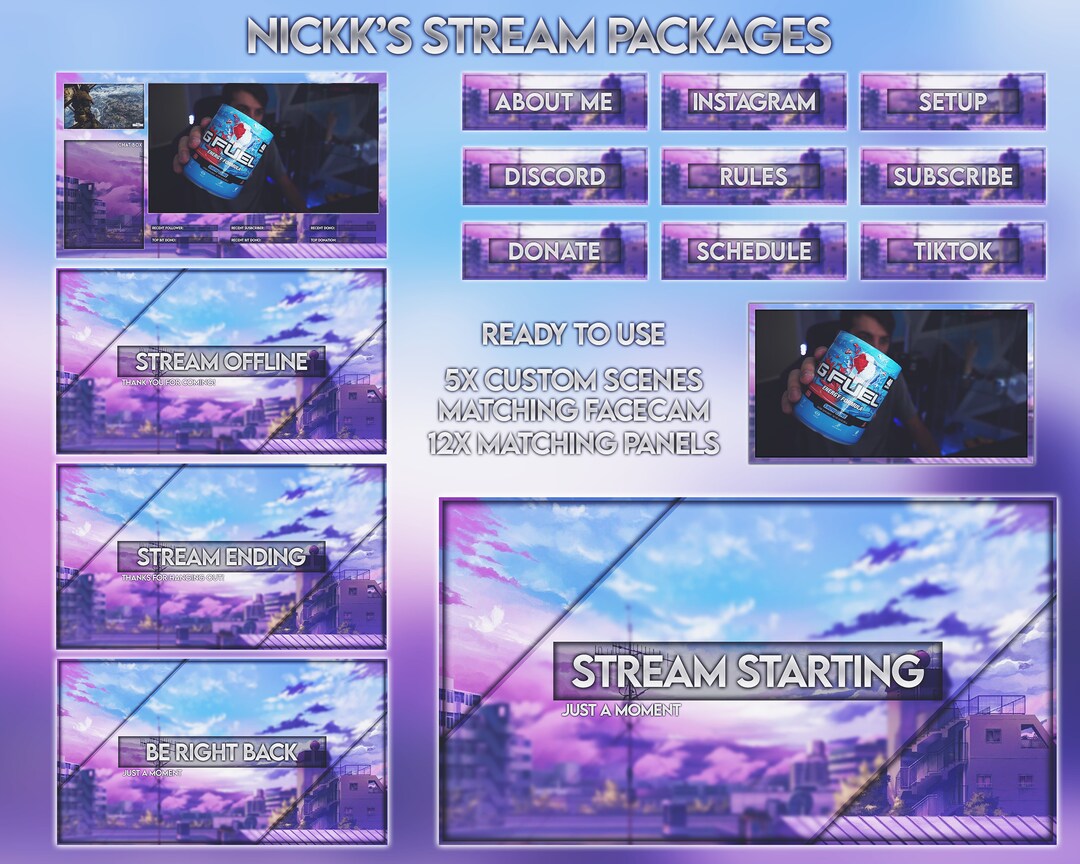 Twitch Stream Package Purple City "relaxed" - Etsy