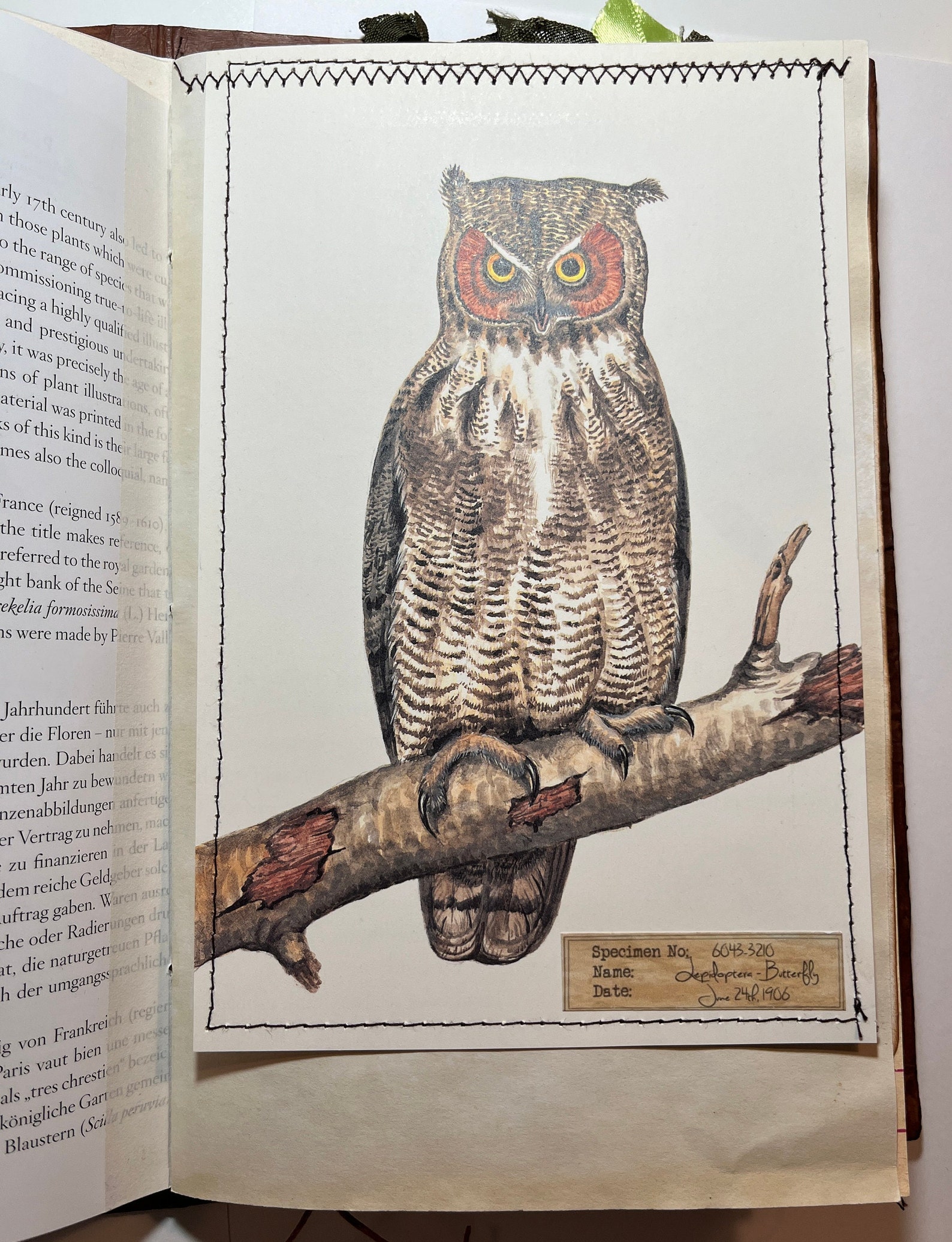 Naturalist Field Journal, Field Notes, Nature Theme, Vintage Style ...