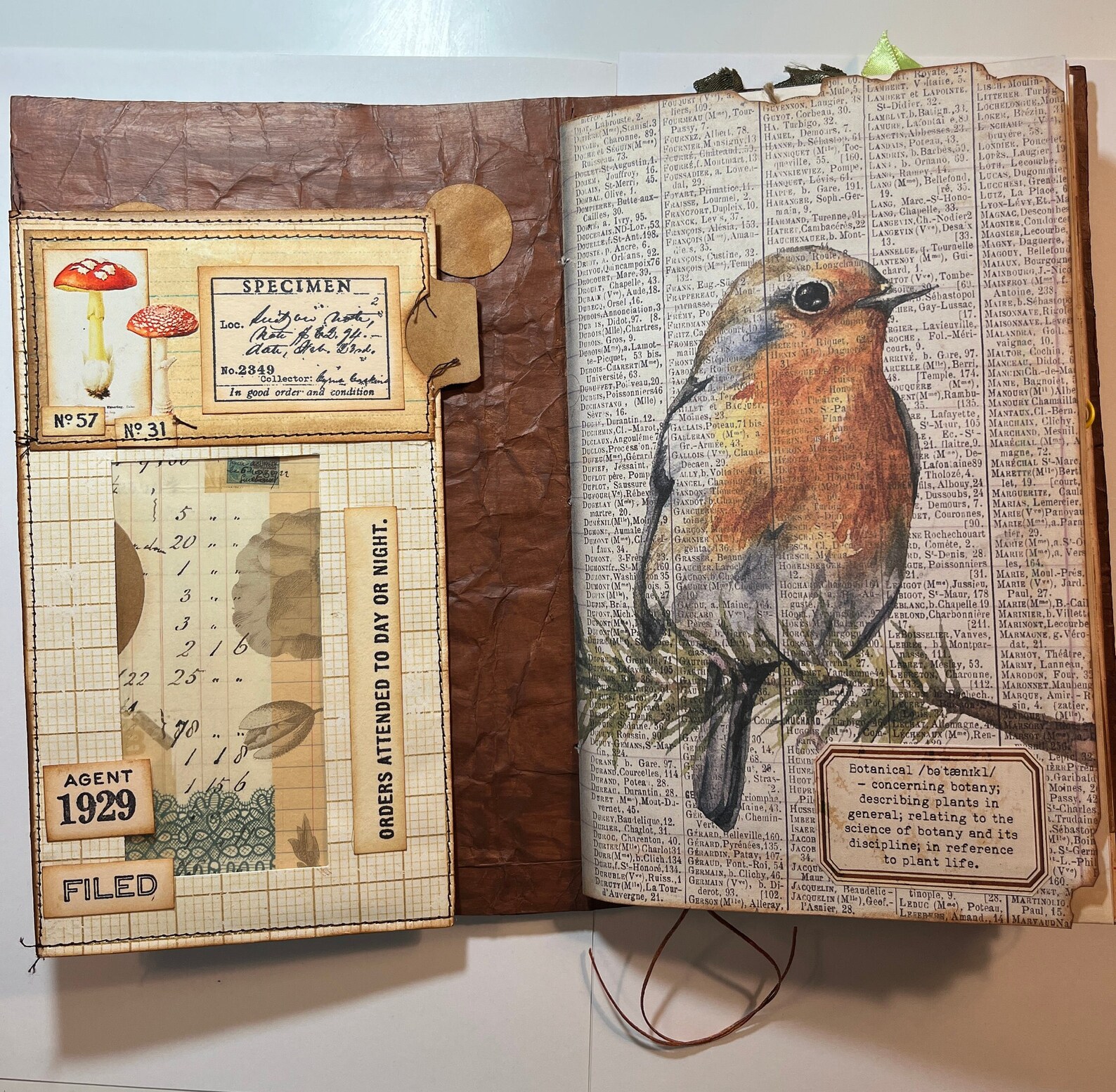 Naturalist Field Journal, Field Notes, Nature Theme, Vintage Style ...