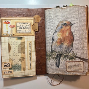 Naturalist Field Journal, Field Notes, Nature Theme, Vintage Style ...