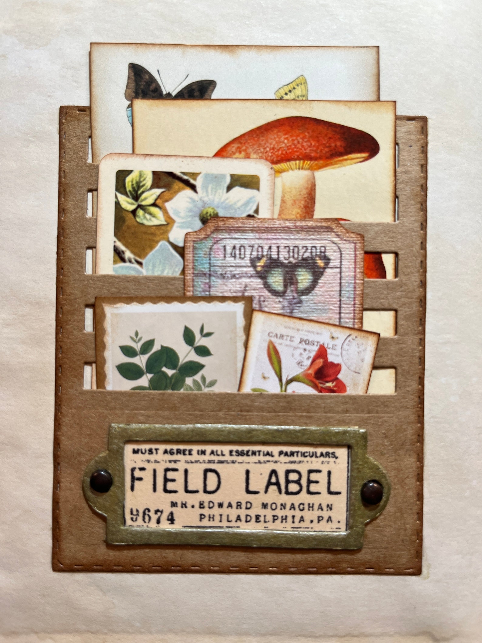 Naturalist Field Journal, Field Notes, Nature Theme, Vintage Style ...