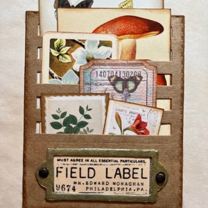 Naturalist Field Journal, Field Notes, Nature Theme, Vintage Style ...