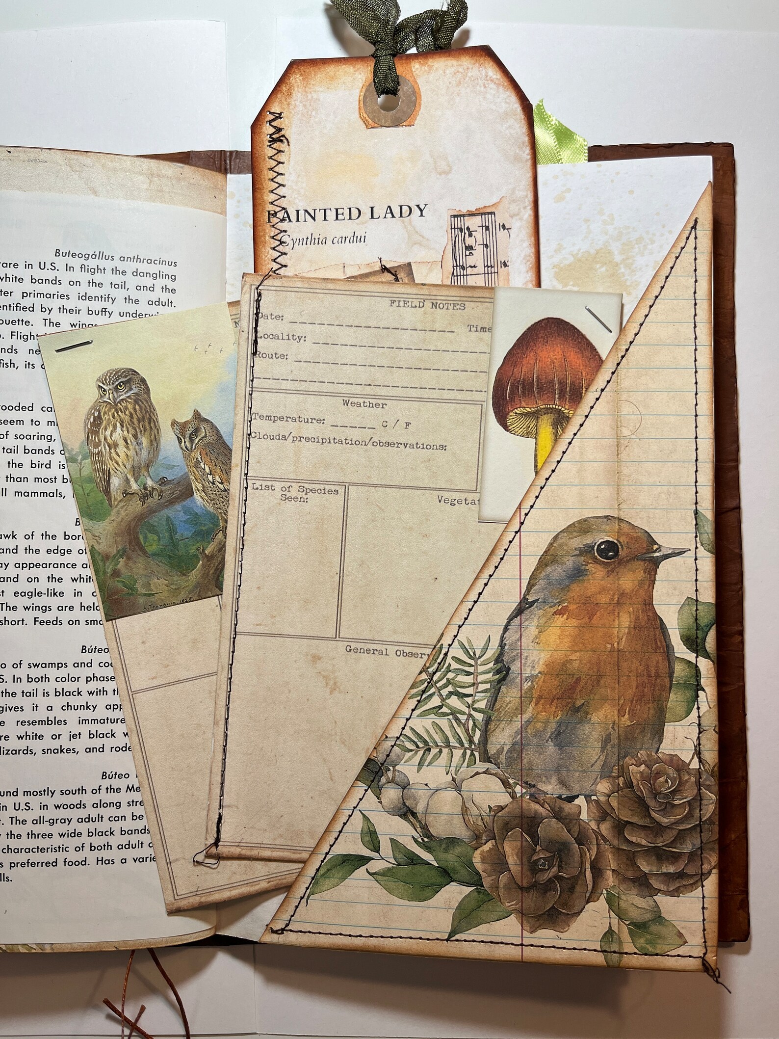 Naturalist Field Journal, Field Notes, Nature Theme, Vintage Style ...