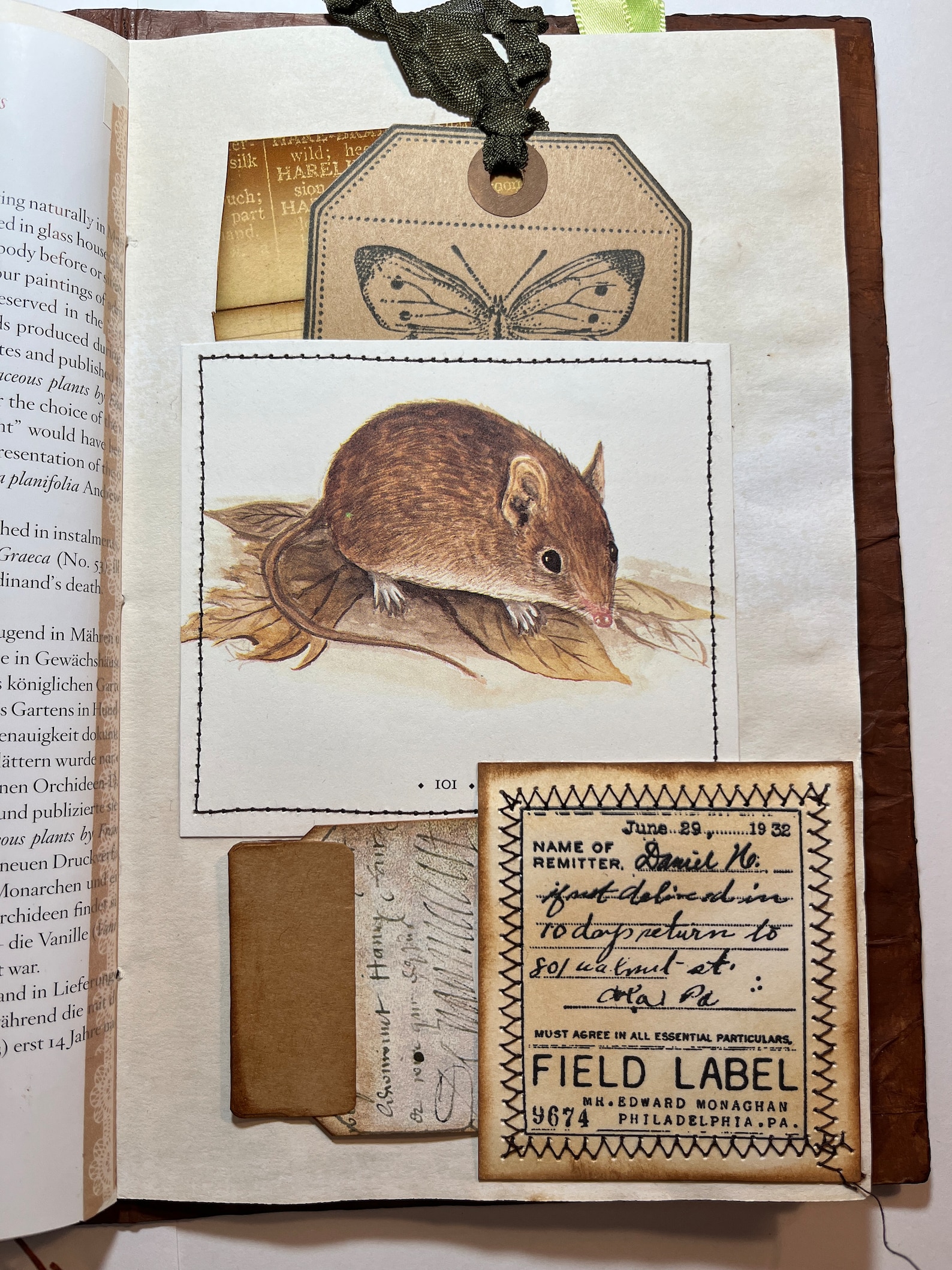 Naturalist Field Journal, Field Notes, Nature Theme, Vintage Style ...