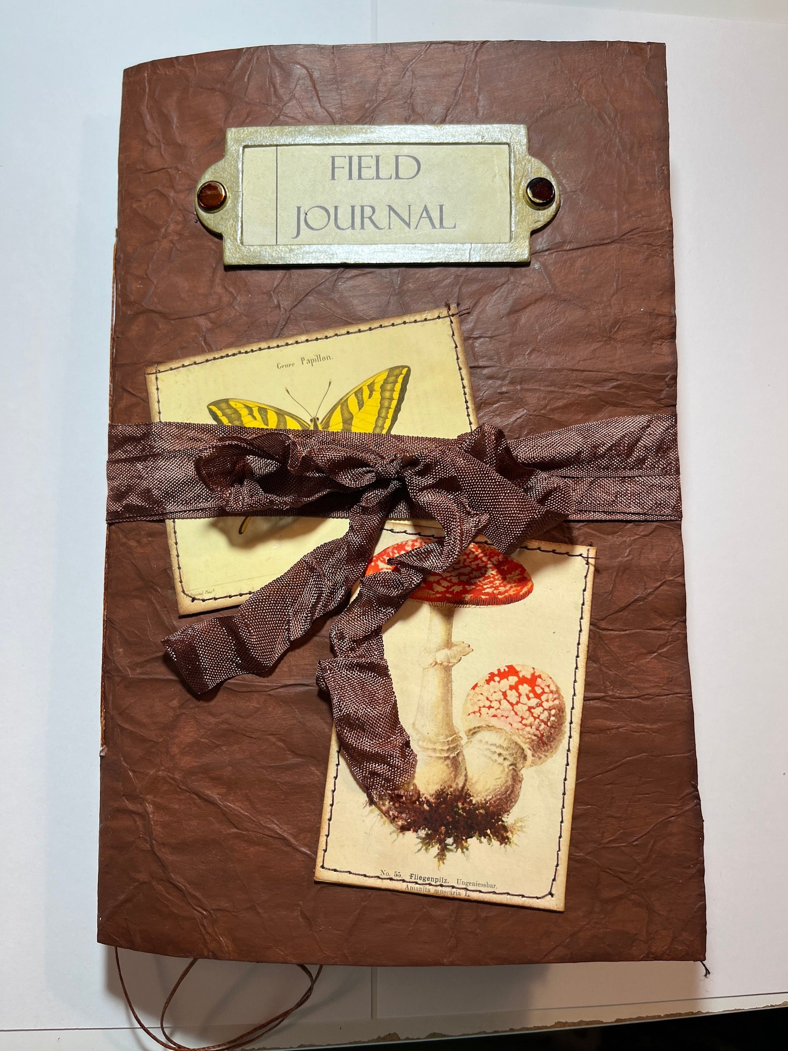 Naturalist Field Journal, Field Notes, Nature Theme, Vintage Style ...