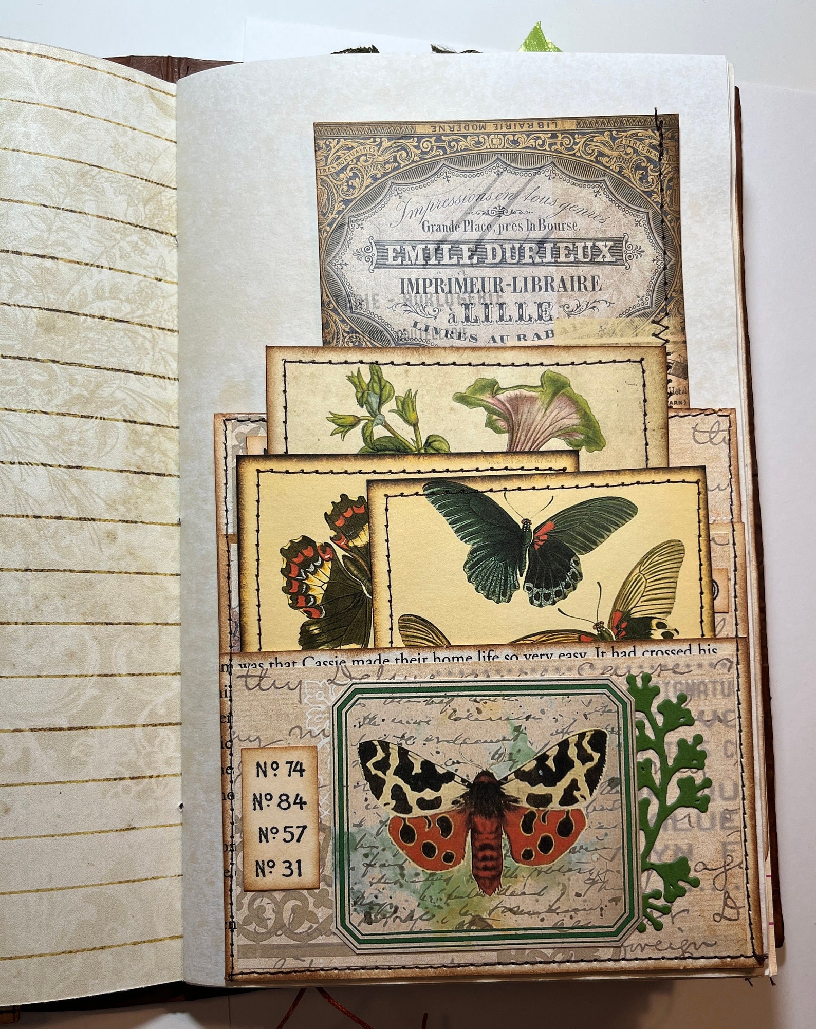 Naturalist Field Journal, Field Notes, Nature Theme, Vintage Style ...