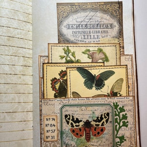 Naturalist Field Journal, Field Notes, Nature Theme, Vintage Style ...