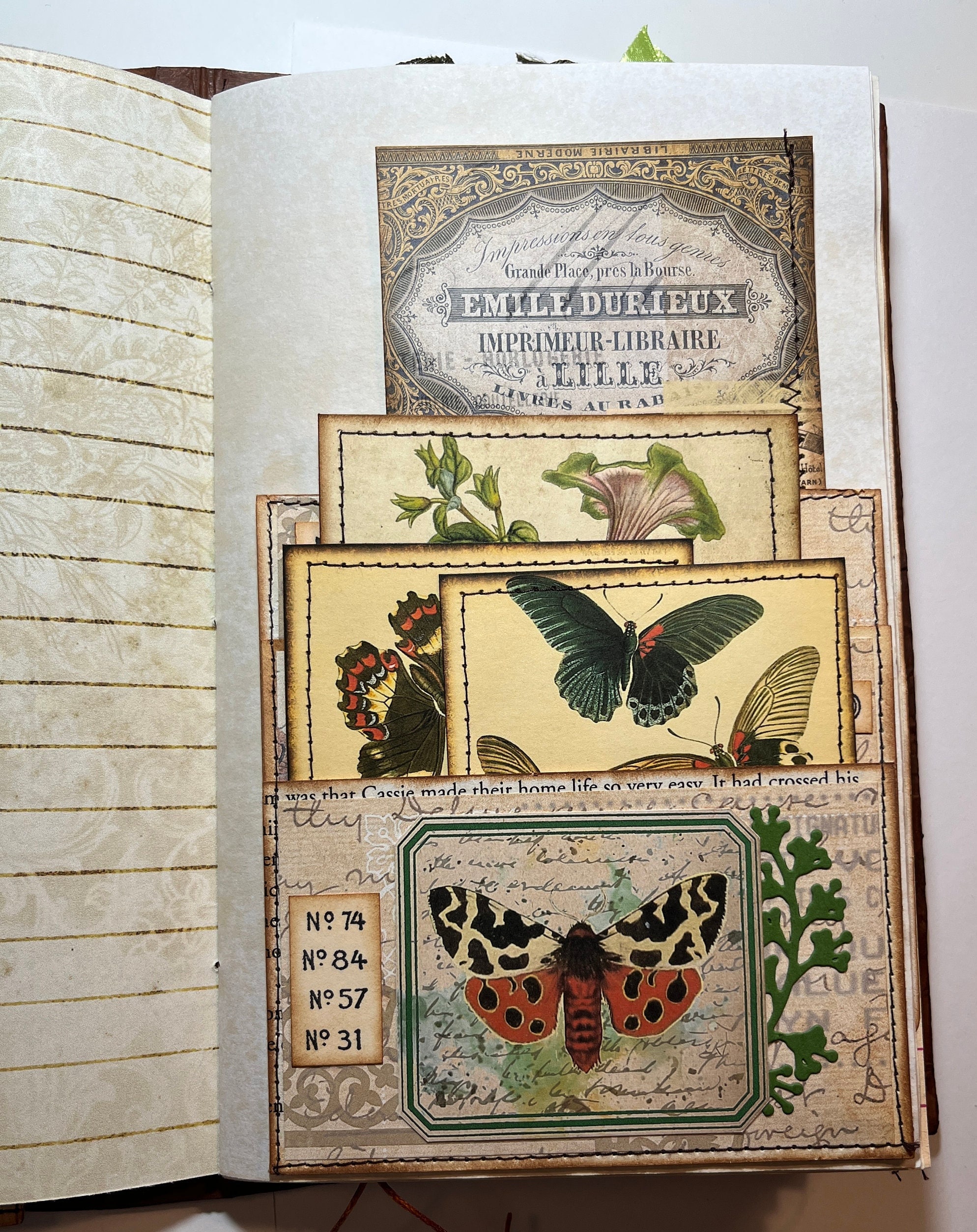 Naturalist Field Journal, Field Notes, Nature Theme, Vintage Style ...
