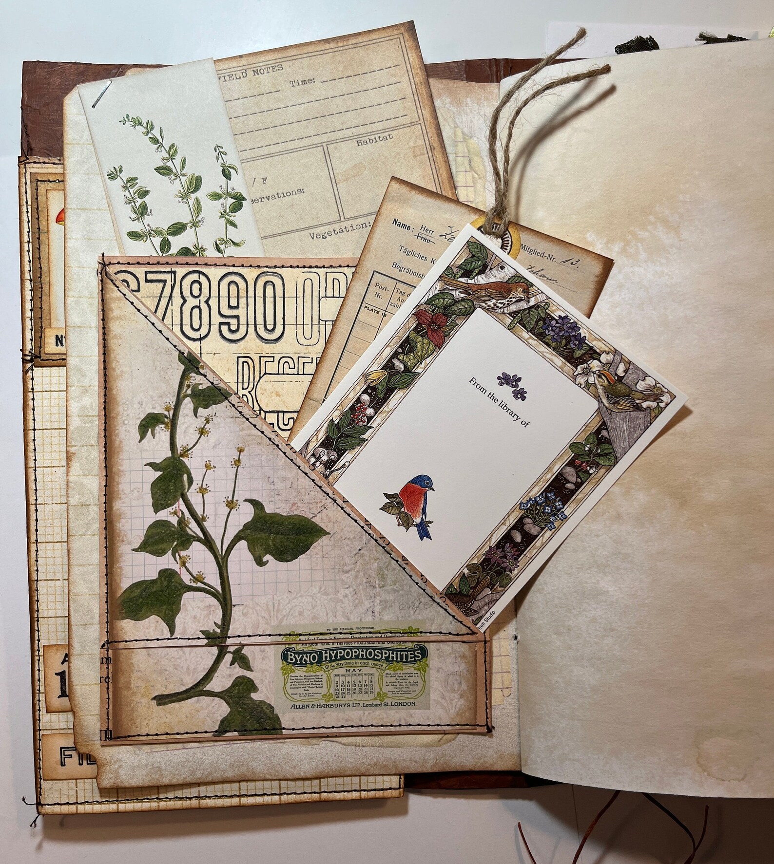 Naturalist Field Journal, Field Notes, Nature Theme, Vintage Style ...