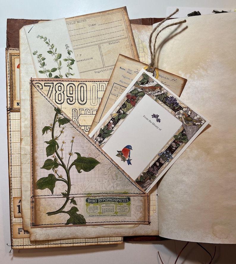 Naturalist Field Journal, Field Notes, Nature Theme, Vintage Style ...