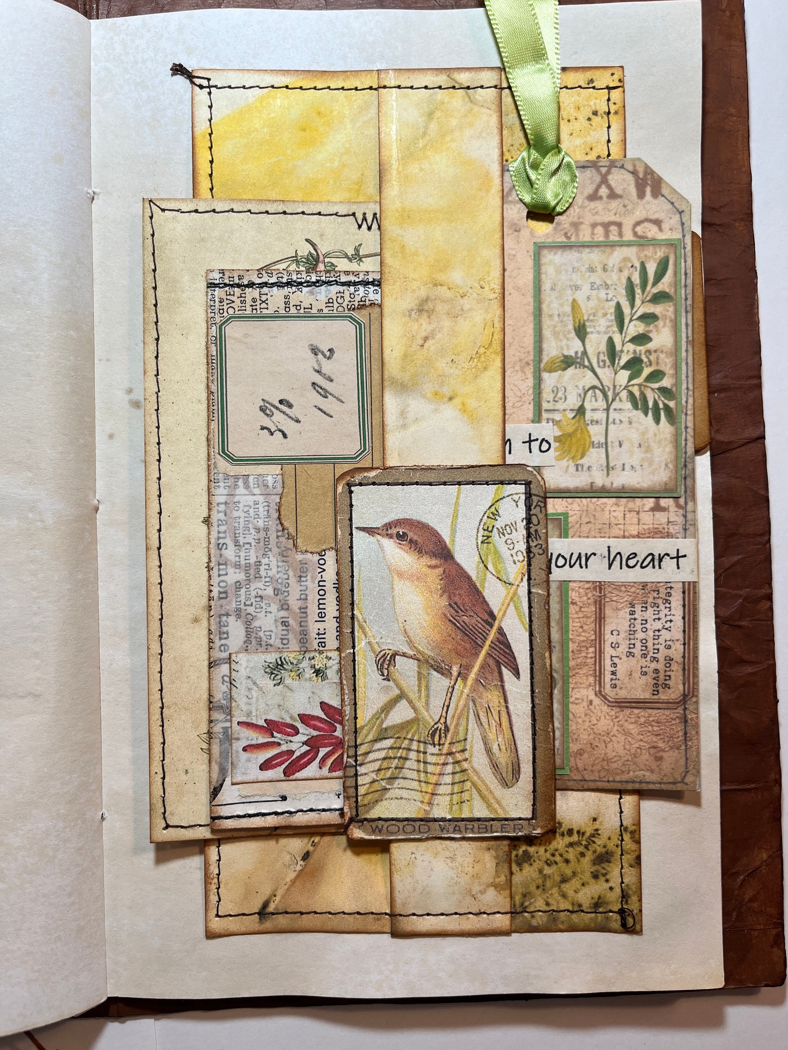 Naturalist Field Journal, Field Notes, Nature Theme, Vintage Style ...
