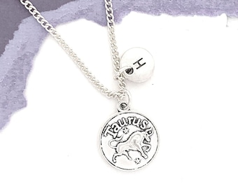 Taurus Medallion Necklace - Etsy