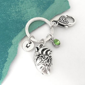 Human Heart Keychain Anatomical Heart Keychain Human Organ Charm ...