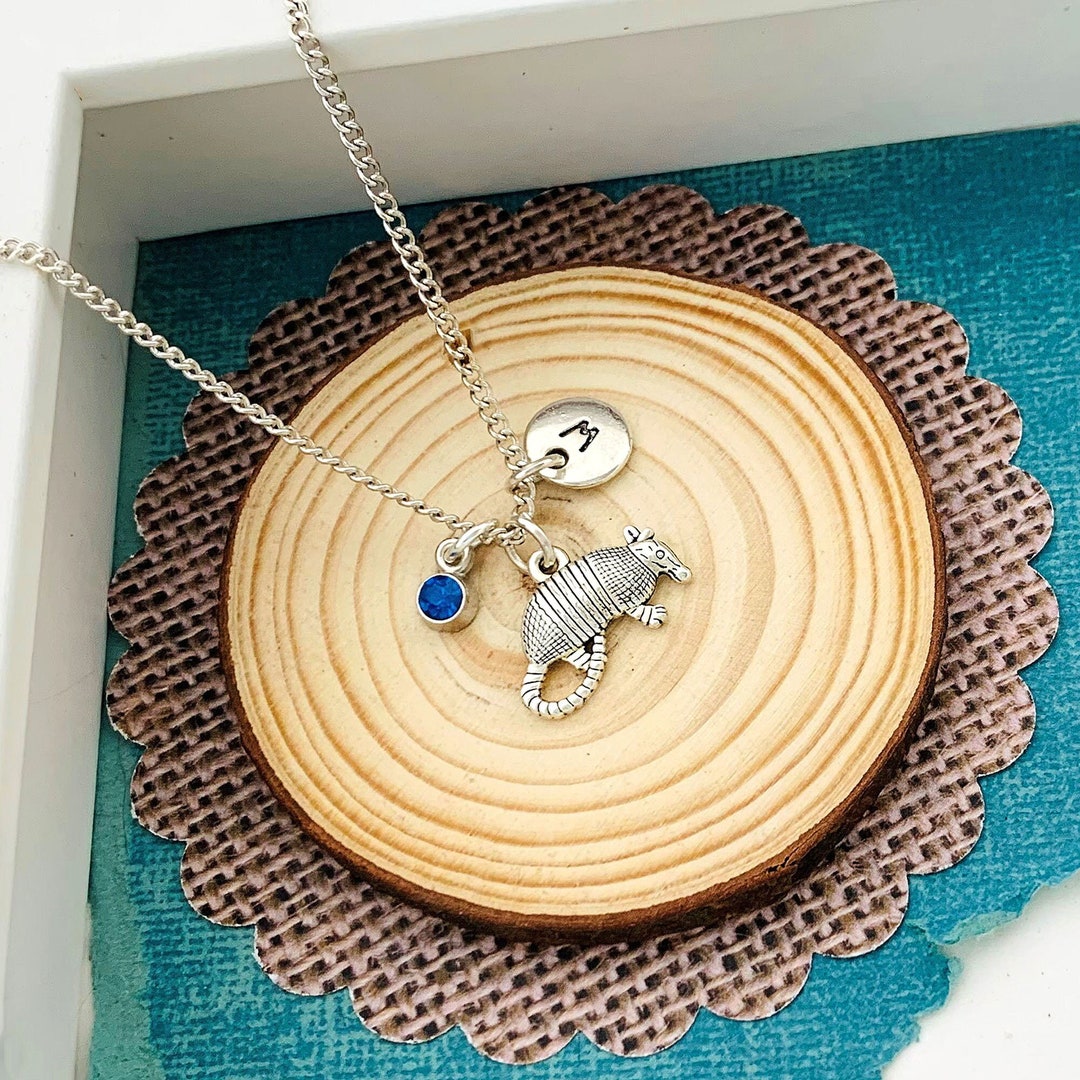 Armadillo Necklace, Texas Gifts, Southwestern Jewelry, Animal Lover ...
