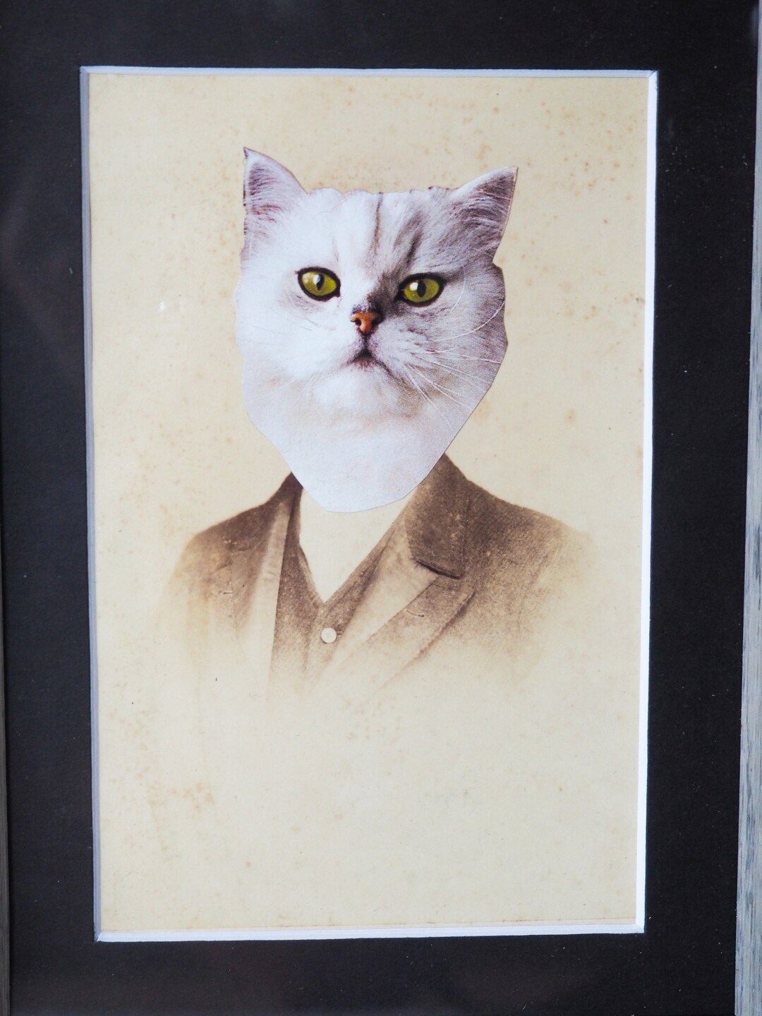 Antique Cat Cabinet Card Collage | Funny Animal Art - Etsy