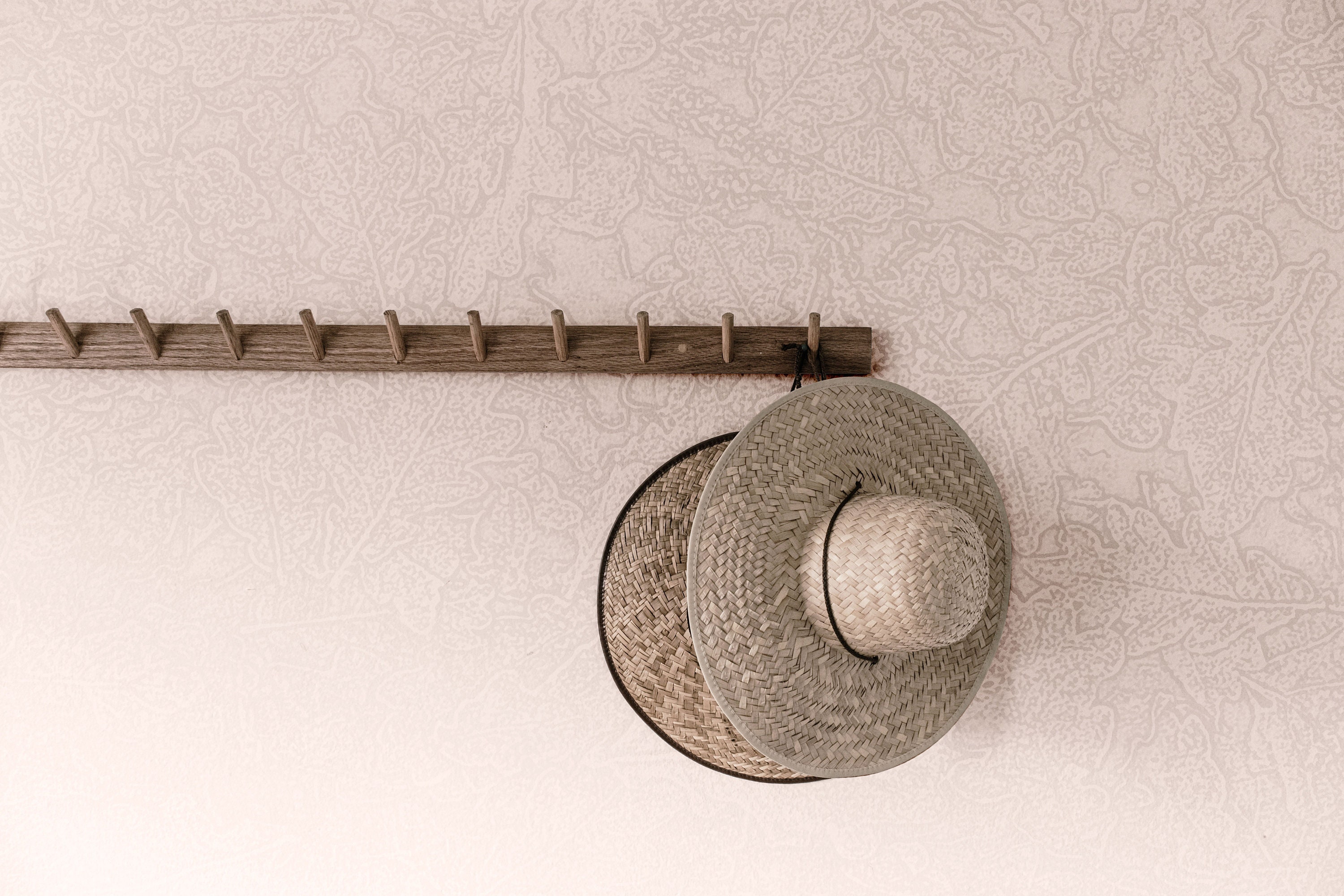 Unique Wallpaper Simple Wallpaper Leaves Wallpaper Tropical - Etsy