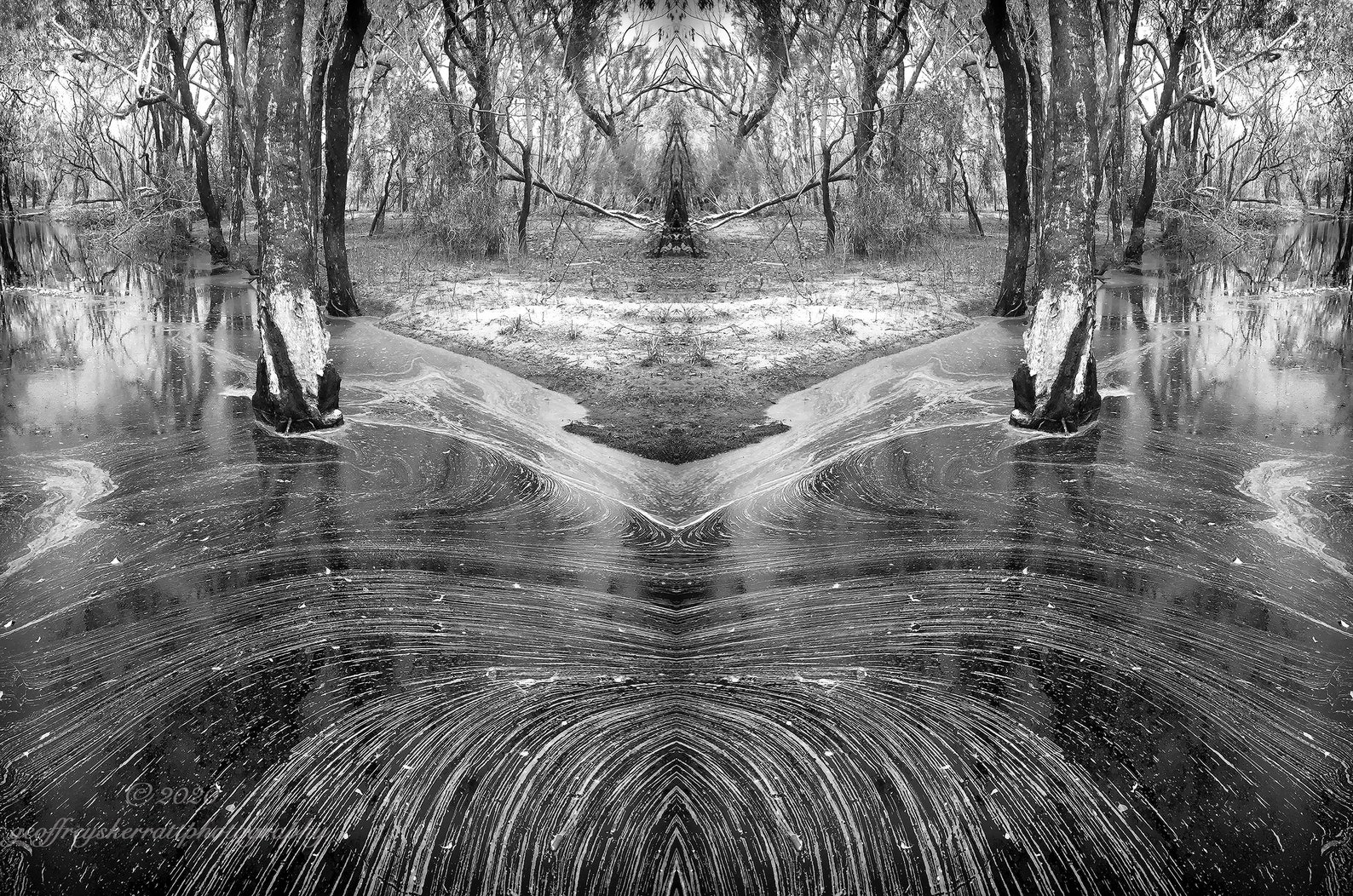 DISTORTED LANDSCAPE , 2020 Australian Bushfires,abstract Black and ...