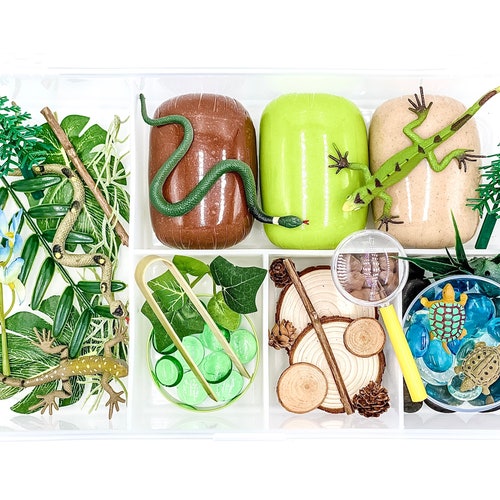 Reptile Play Dough Kit Creatures Sensory Bin Snake Lizard - Etsy