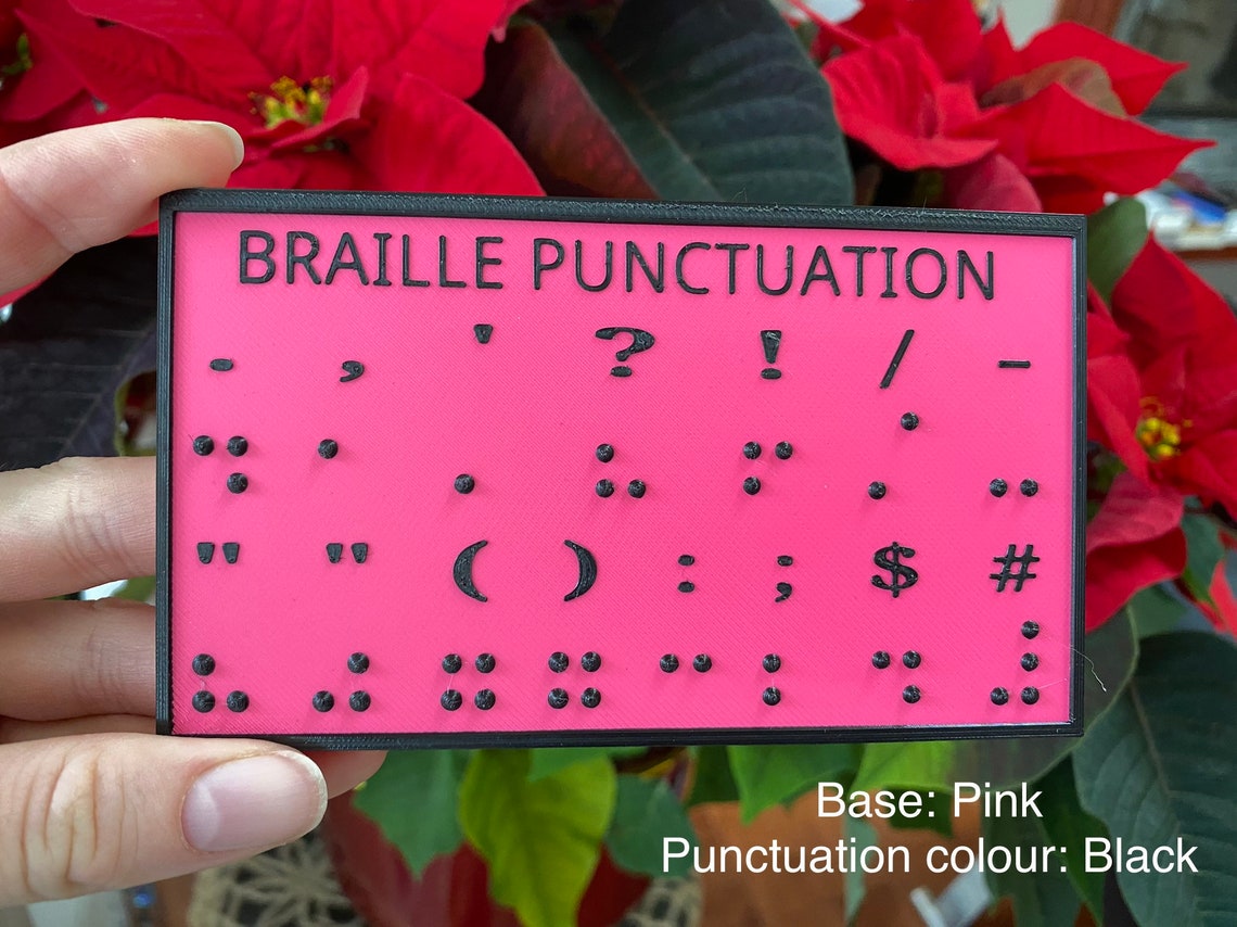Braille Punctuation 3D Learning Board Made in Canada | Etsy