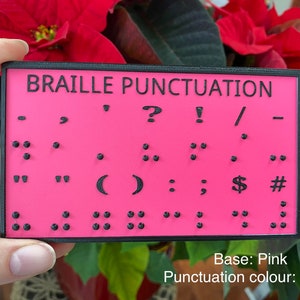 Braille Punctuation - 3D Learning Board - Made in Canada - Etsy