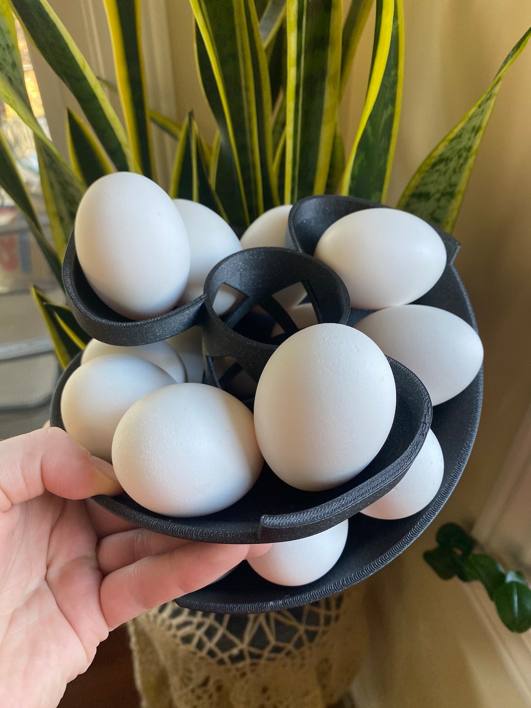 Egg Spiral Tray for Chicken, Silkies, or Quail Eggs Made in Canada - Etsy