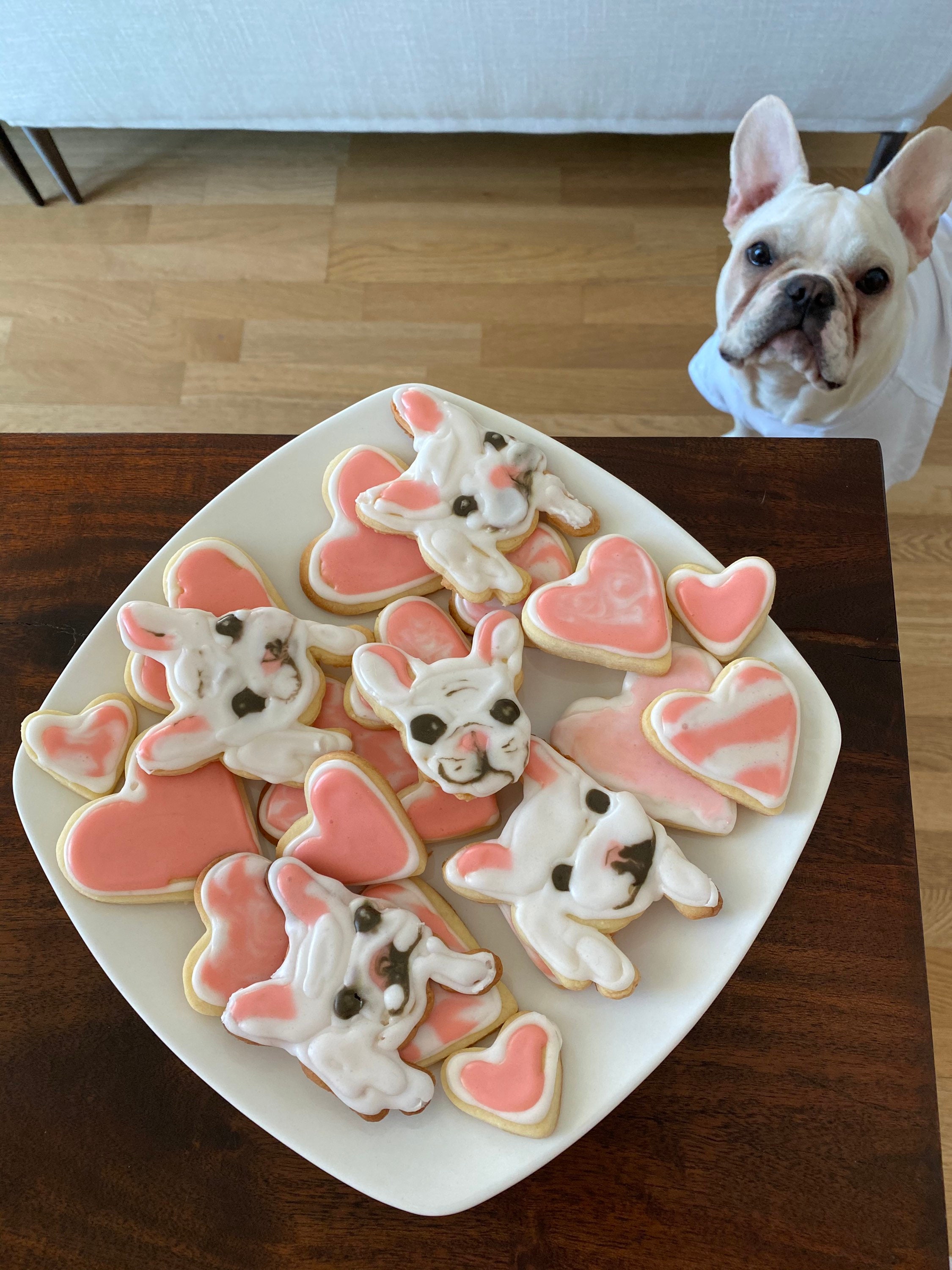 Chihuahua Cookie Cutter - Made in Canada - Etsy