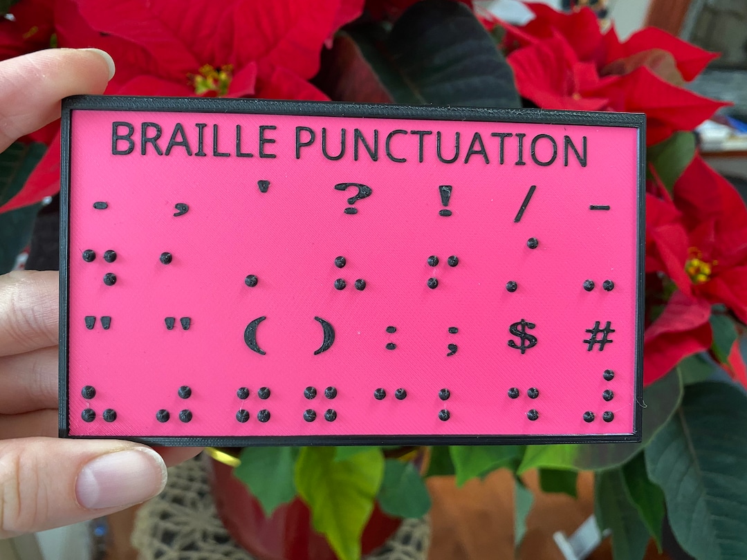 Braille Punctuation - 3D Learning Board - Made in Canada - Etsy