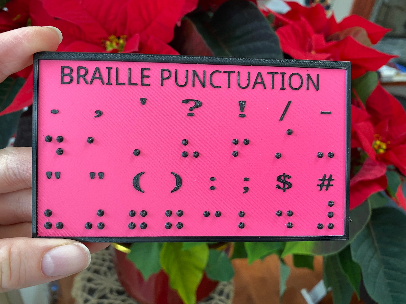 Braille Punctuation 3D Learning Board Made in Canada | Etsy