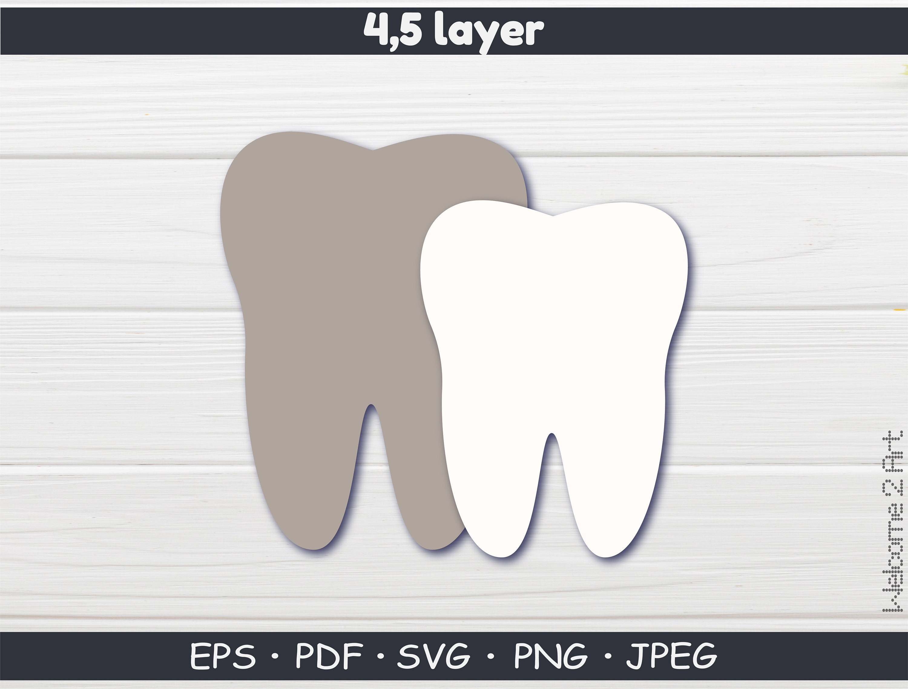 Tooth Fairy SVG File for Cricut File for Silhouette Tooth - Etsy